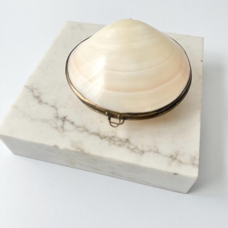 Shell Pill Box - Etsy