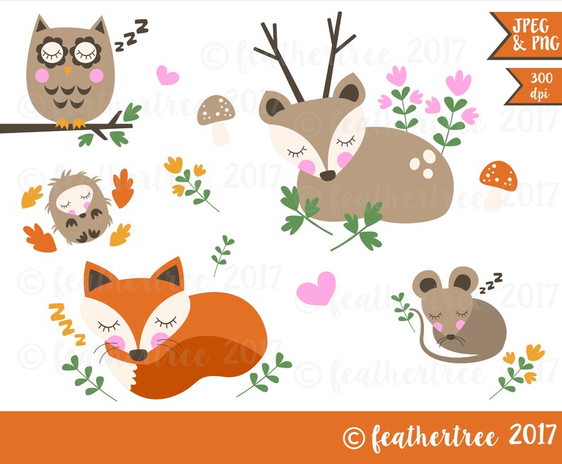 Digital Clipart Sleeping Woodland Animals Autumn / Fall 300dpi JPEG and ...