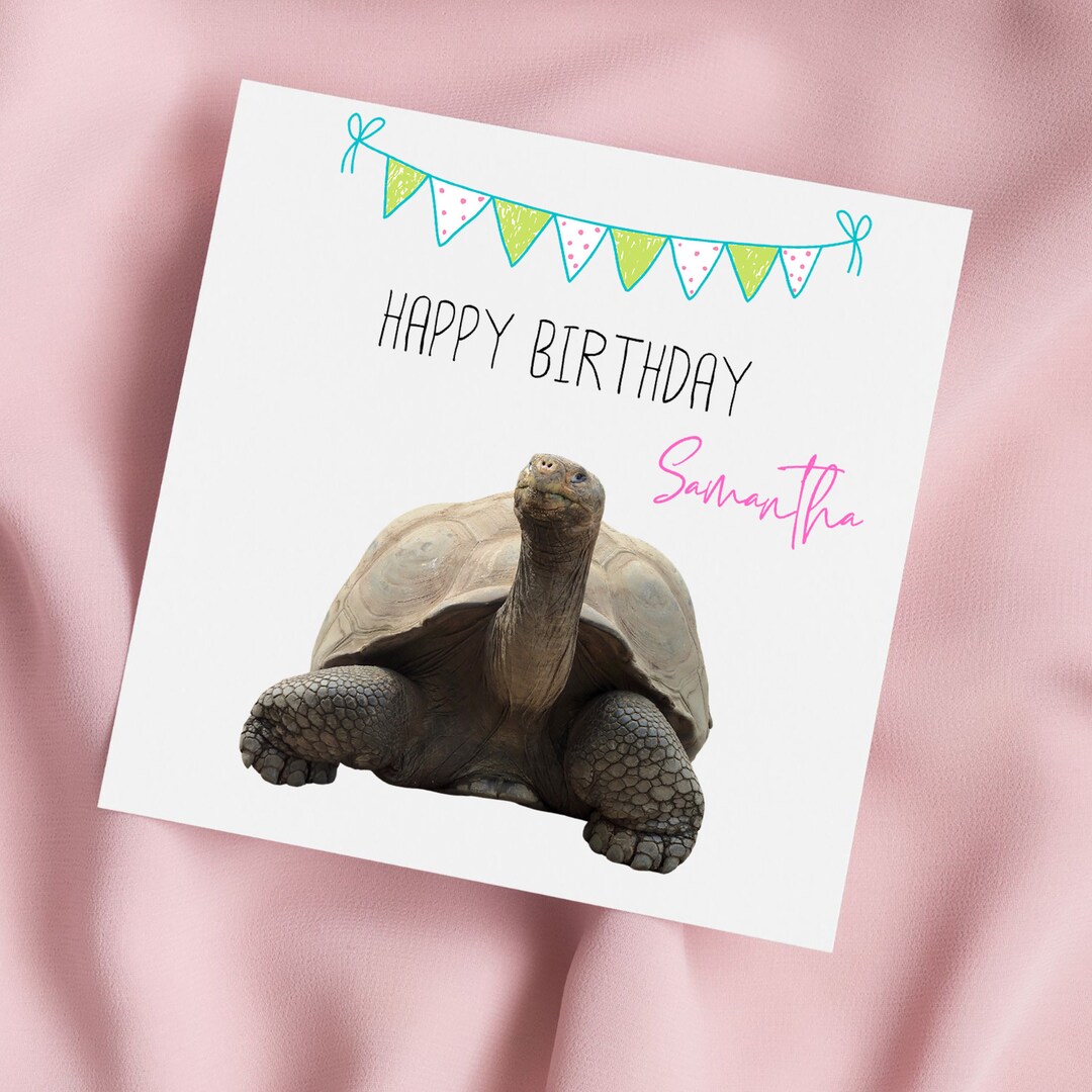 Birthday Card With Tortoise, Tortoise Greeting Card, Tortoise Card ...