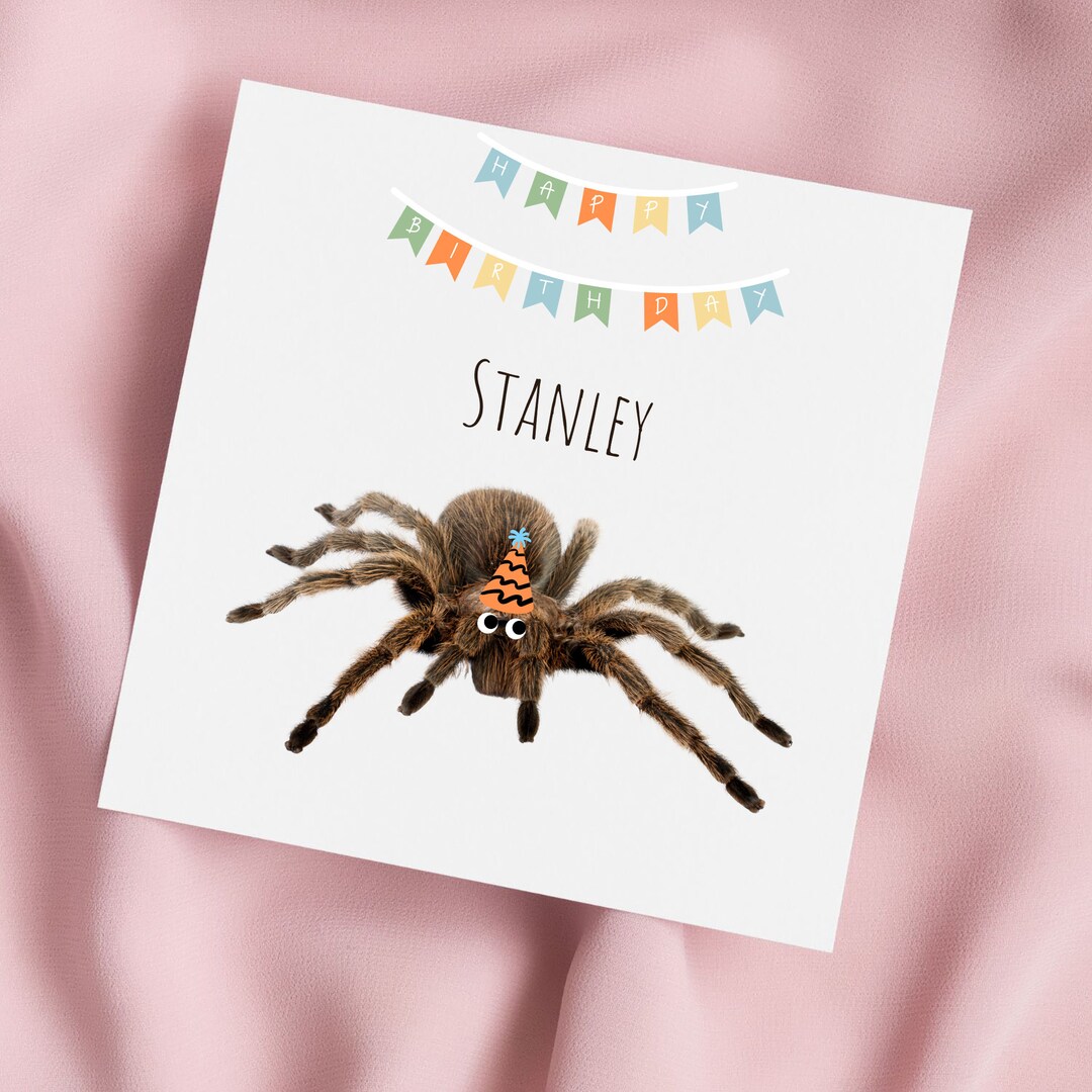 Birthday Card With Spider, Terantula Greeting Card, Spider Card ...