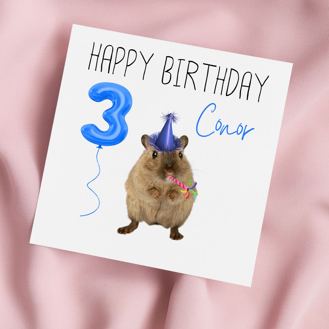 Age Birthday Card With Gerbil in Party Hat, Gerbil Greeting Card ...