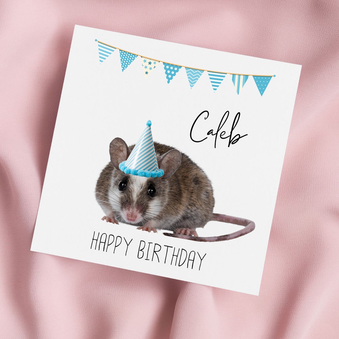 Birthday Card With Cute Mouse, Mouse Greeting Card, Mouse Card, Special ...