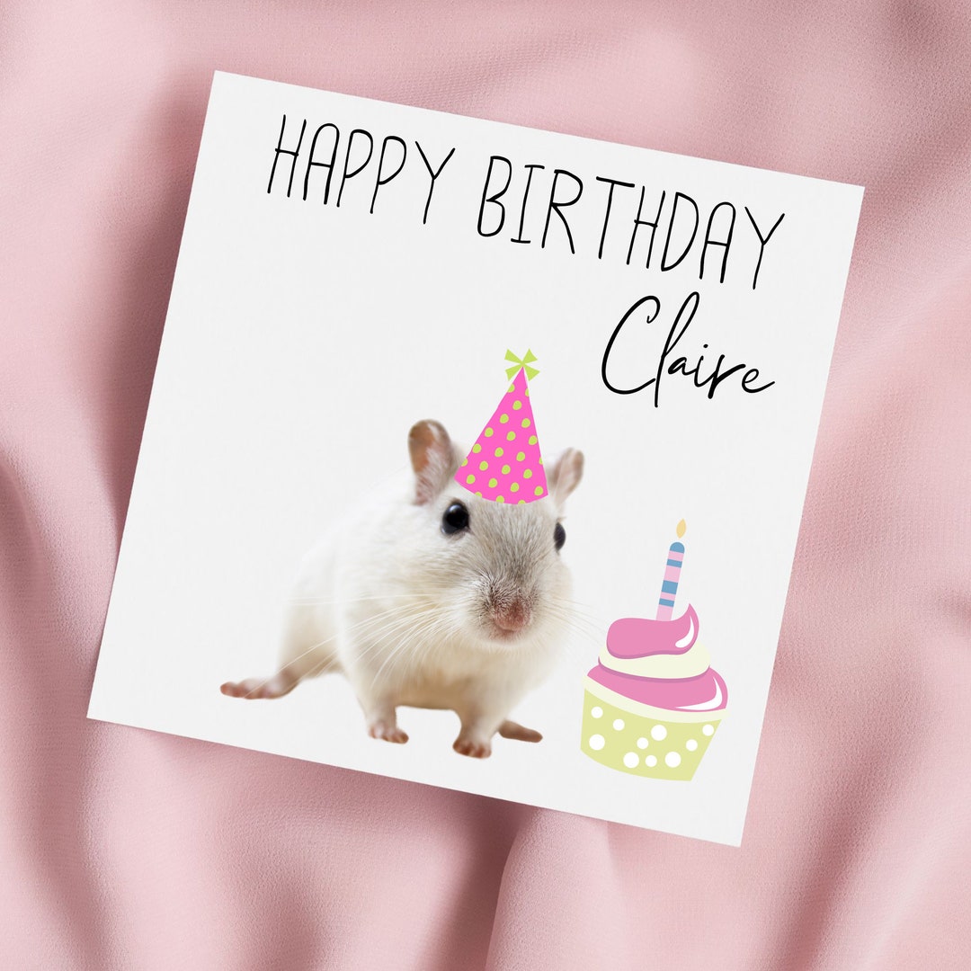 Birthday Card With Gerbil in Party Hat, Gerbil Greeting Card, Gerbil ...