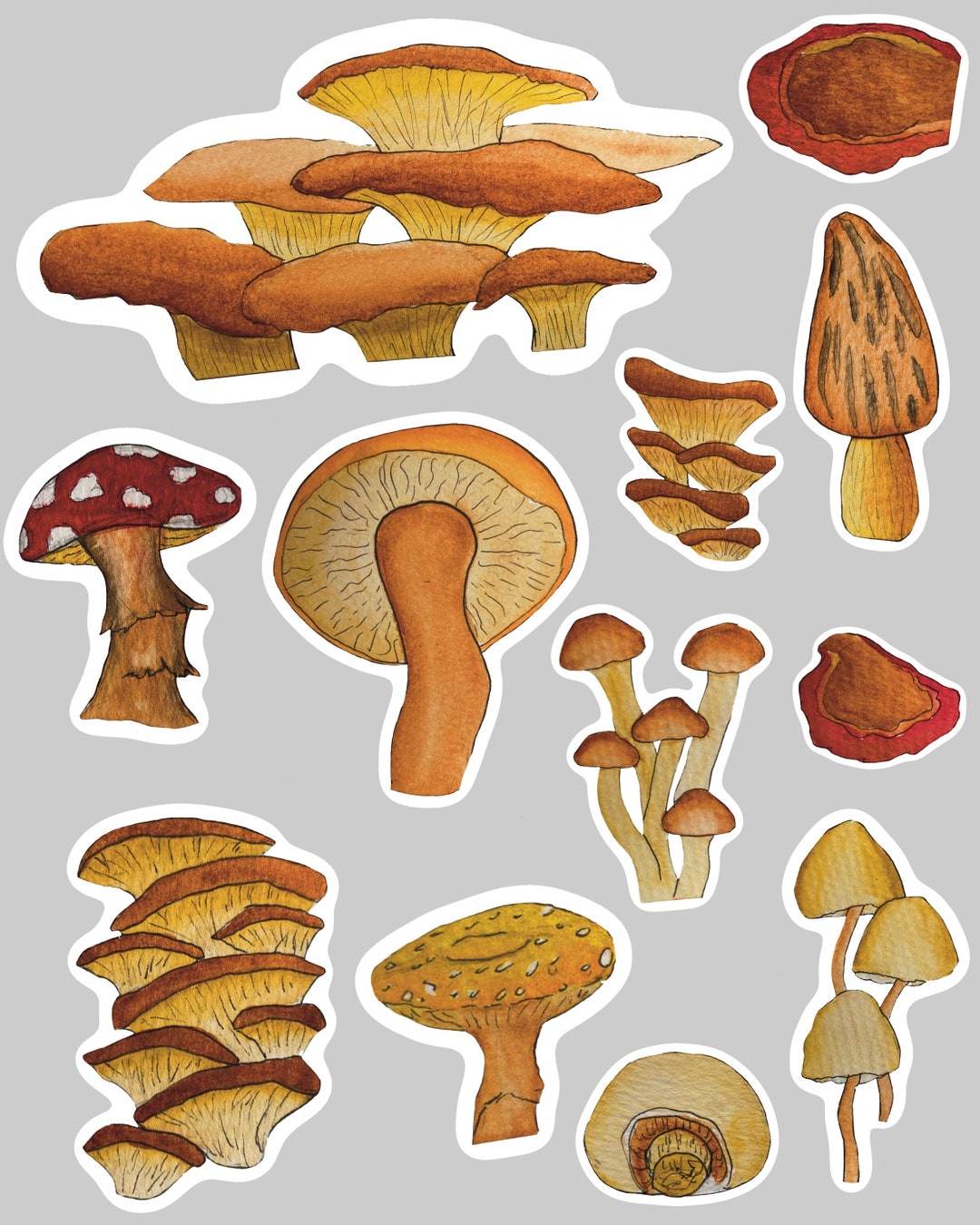 Mushroom Sticker Pack - Etsy