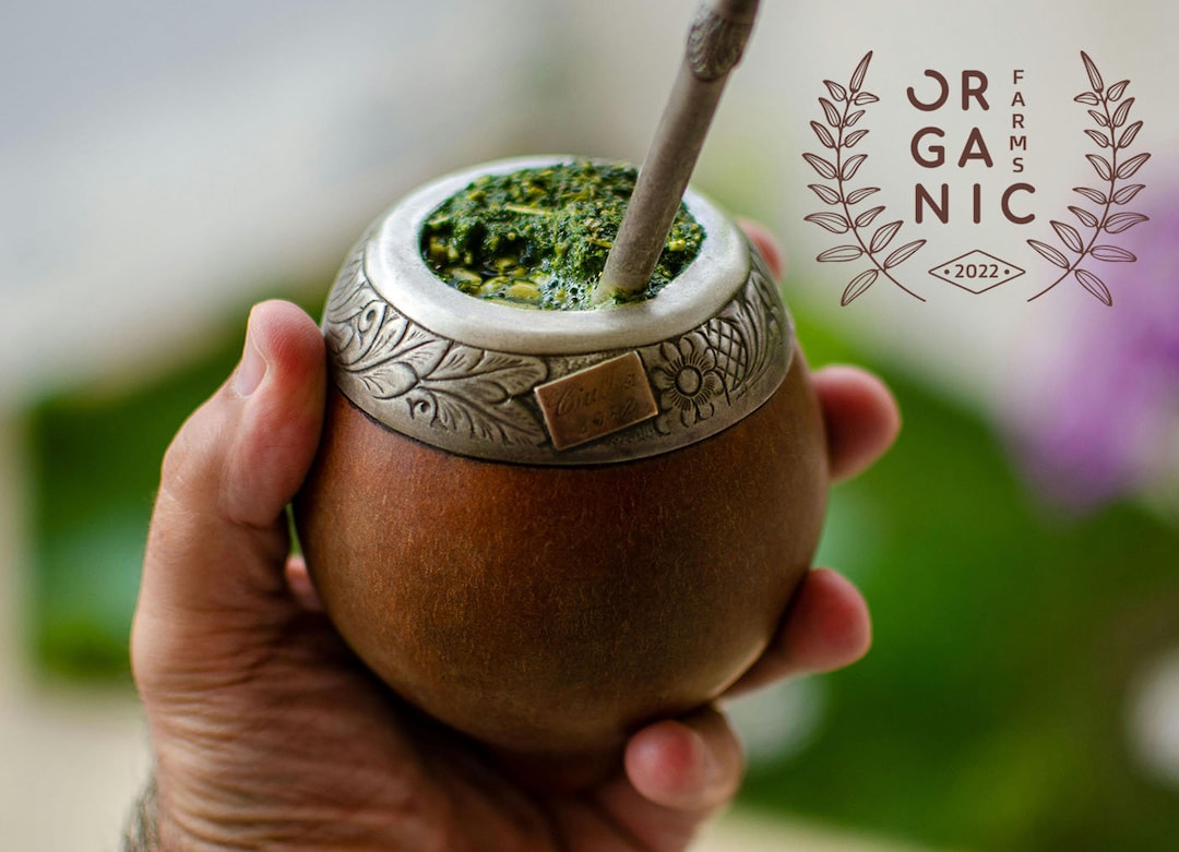 Organic Yerba Mate Tea From Paraguay – RAW, Sweet, and Nutty Flavors ...