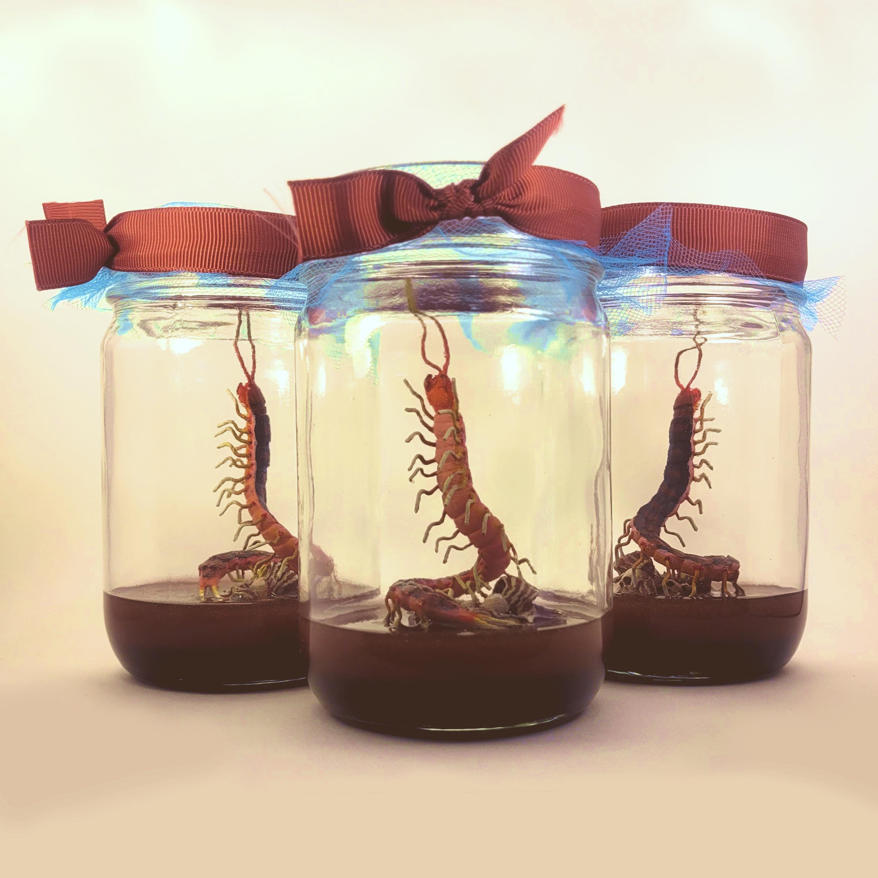 Centipede Jar Diorama, Halloween Decoration, Gift for Bug Lovers - Etsy
