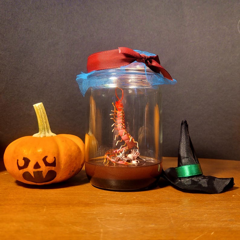Centipede Jar Diorama, Halloween Decoration, Gift for Bug Lovers - Etsy