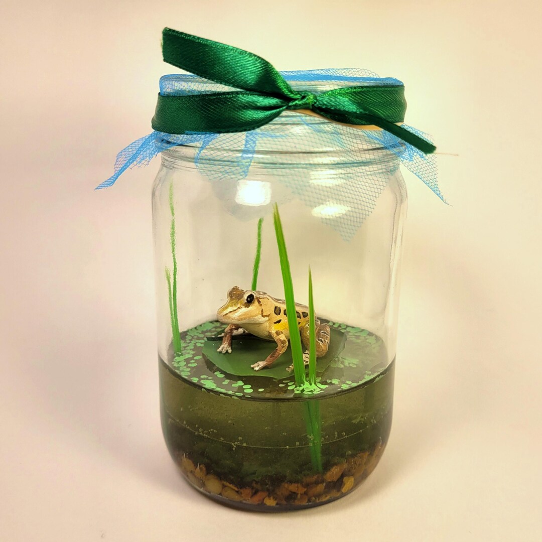Frog Jar Diorama, Pickerel Frog, Decoration, Gift for Nature Lovers ...
