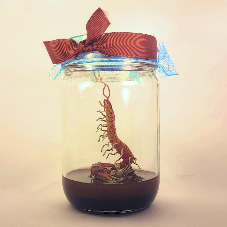 Centipede Jar Diorama, Halloween Decoration, Gift for Bug Lovers - Etsy