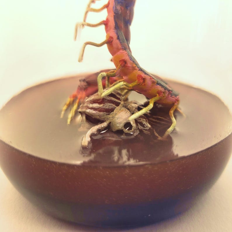 Centipede Jar Diorama, Halloween Decoration, Gift for Bug Lovers - Etsy