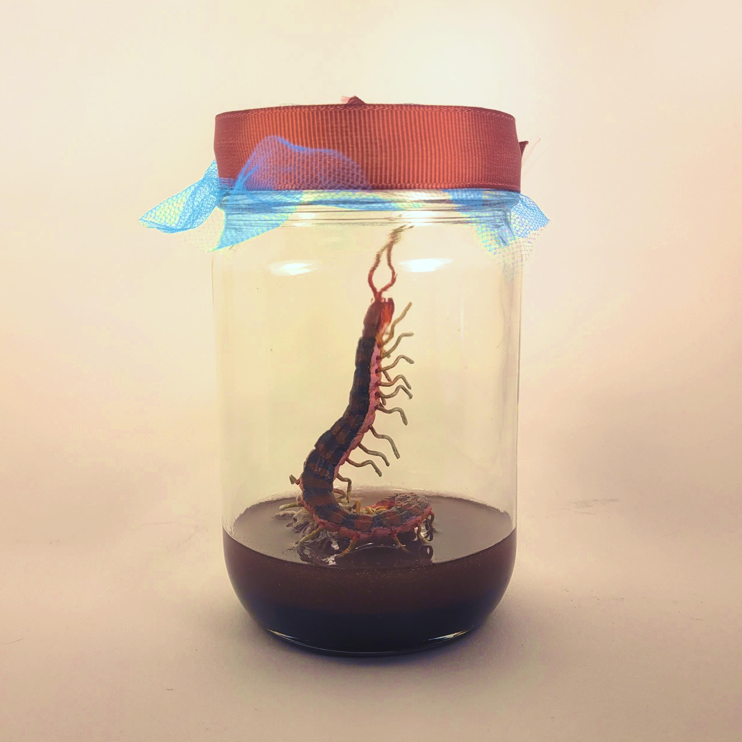Centipede Jar Diorama, Halloween Decoration, Gift for Bug Lovers - Etsy