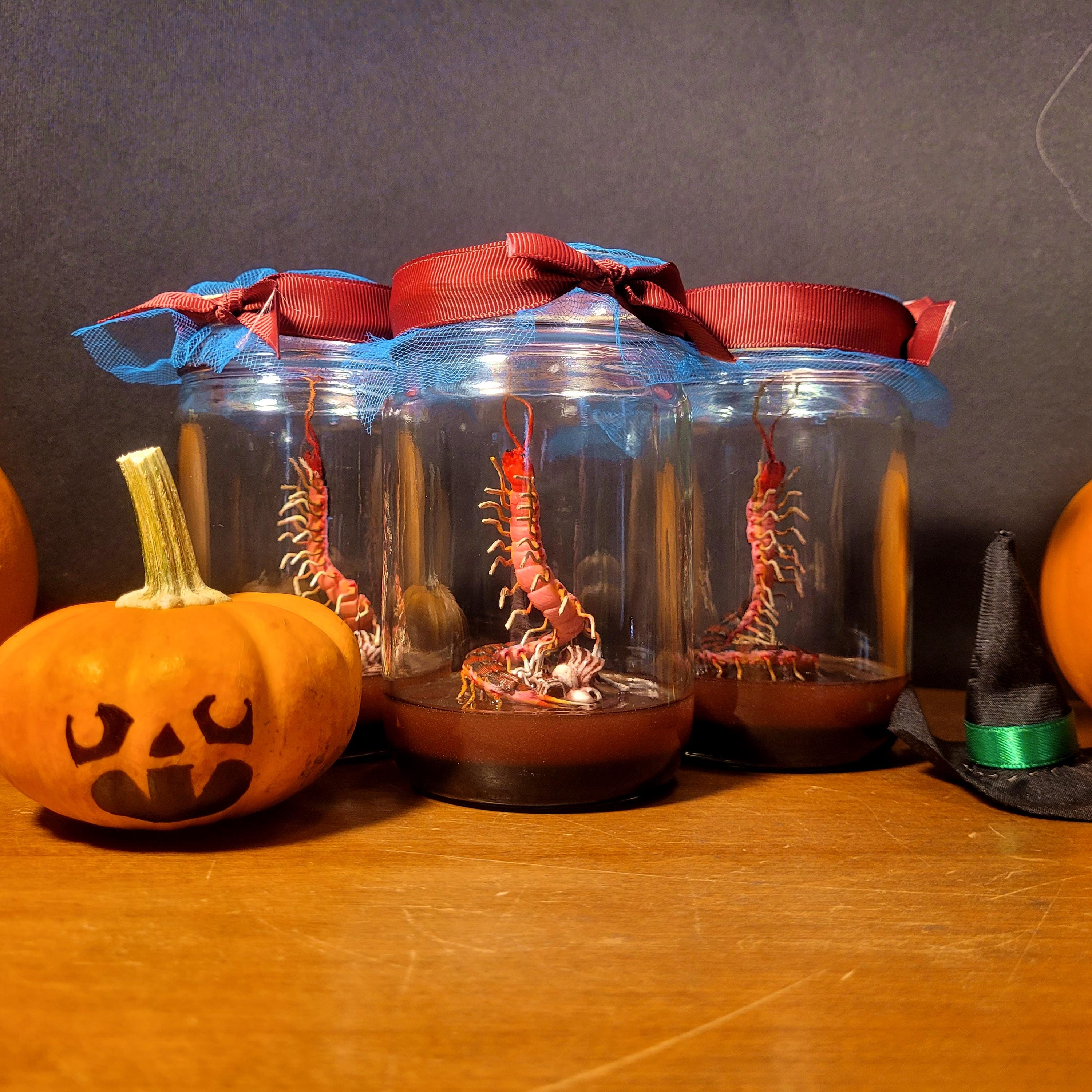 Centipede Jar Diorama, Halloween Decoration, Gift for Bug Lovers - Etsy