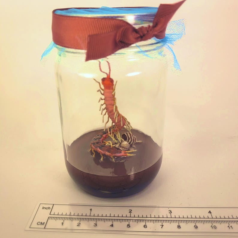 Centipede Jar Diorama, Halloween Decoration, Gift for Bug Lovers - Etsy