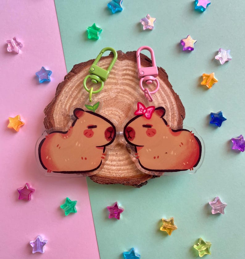 Capybara Matching Magnetic Keychain, Couple Gift - Etsy