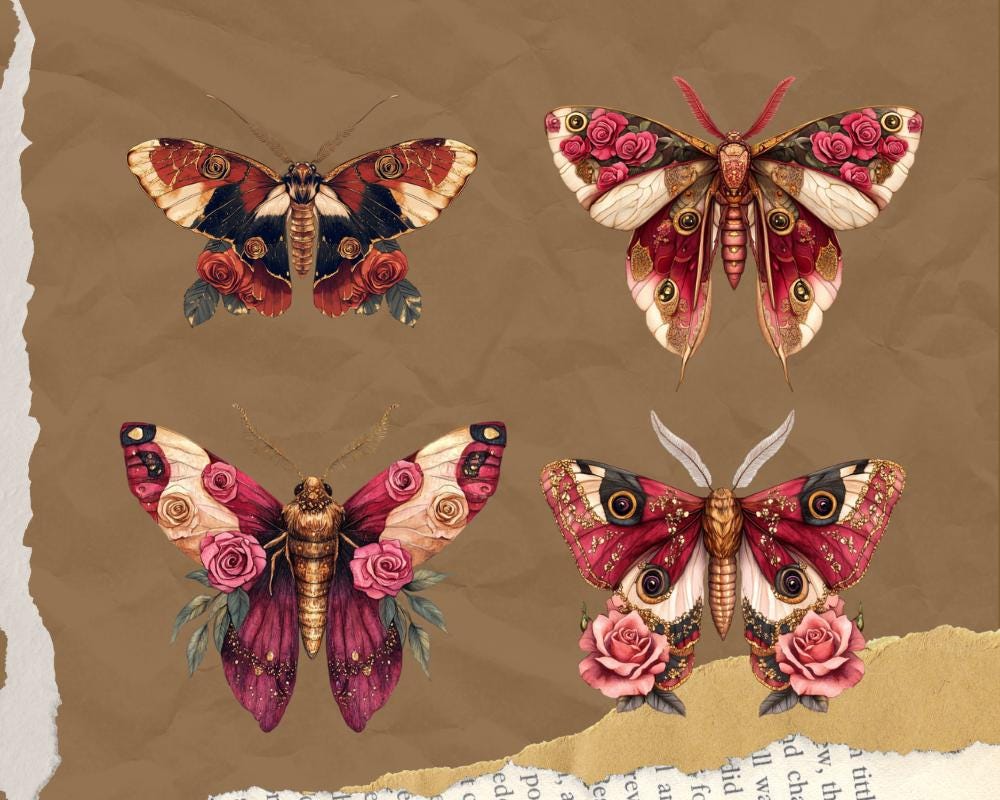 Watercolor Vintage Moth Clipart Bundle: Royal, Wiccan, Roses (PNG ...