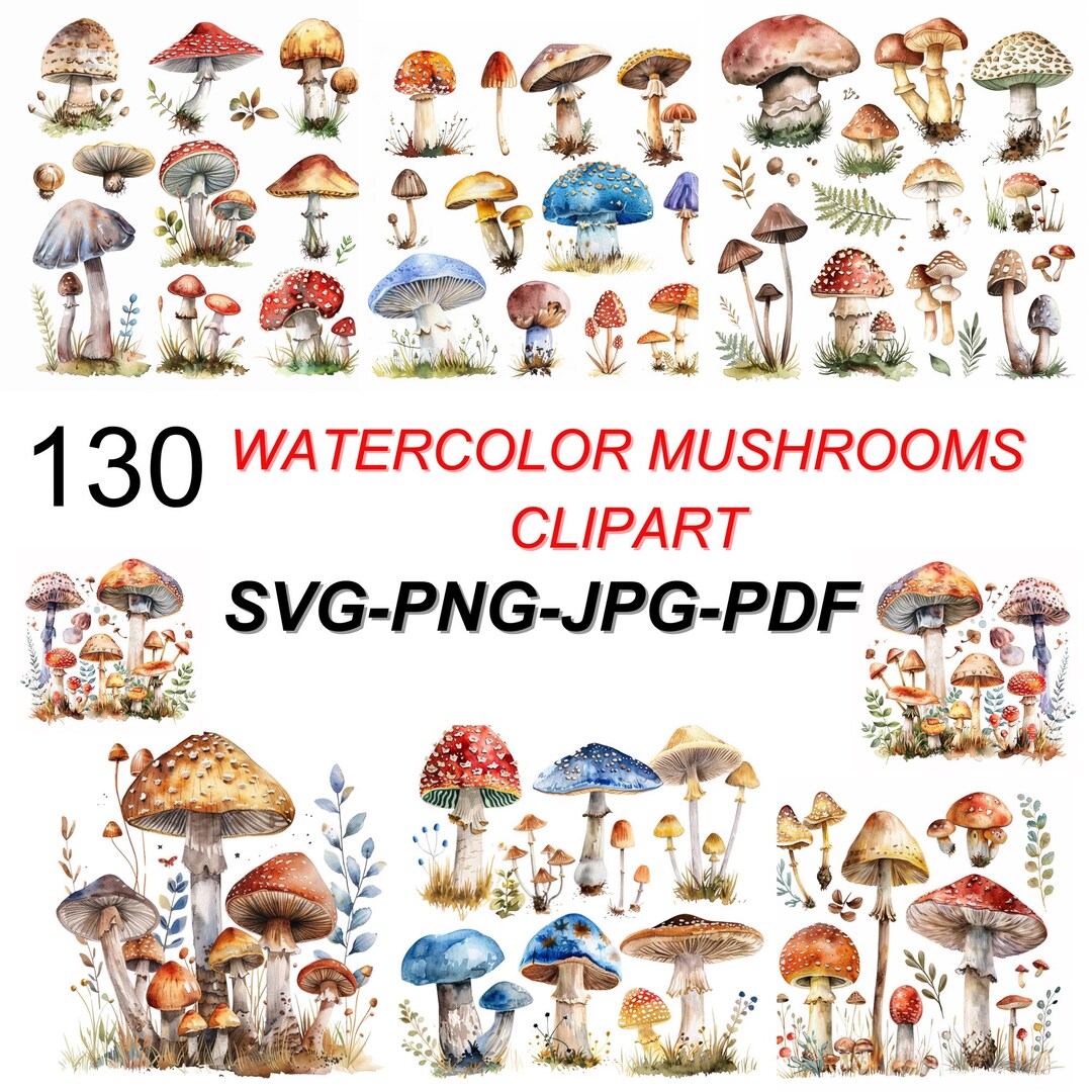 Watercolor Mushrooms Clipart Forest Nature Toadstool Clipart PNG Format ...