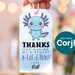 Editable Axolotl Birthday Favor Tag: Instant Download - Etsy