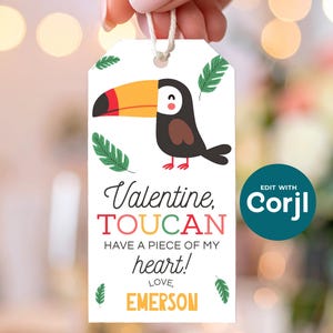 Editable Classroom Party Valentine Cards, Printable PDF Toucan ...