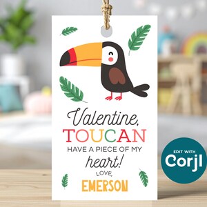Editable Classroom Party Valentine Cards, Printable PDF Toucan ...