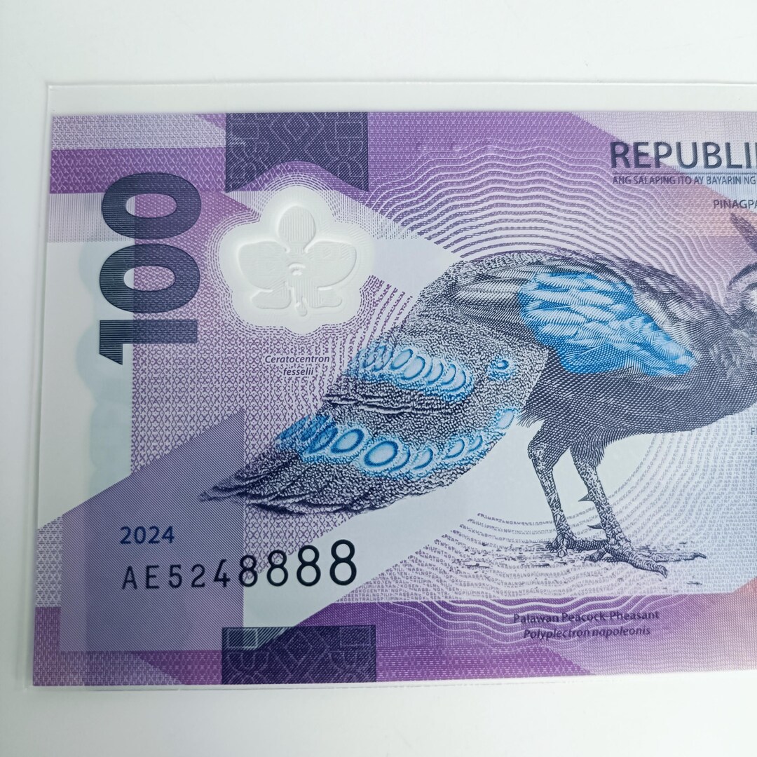 Philippines 100 Polymer Banknote, 2024 Uncirculated, Fancy 8888 Serial ...