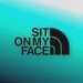 Sit on My Face Vinyl Sticker for Your Car or Laptop - Etsy