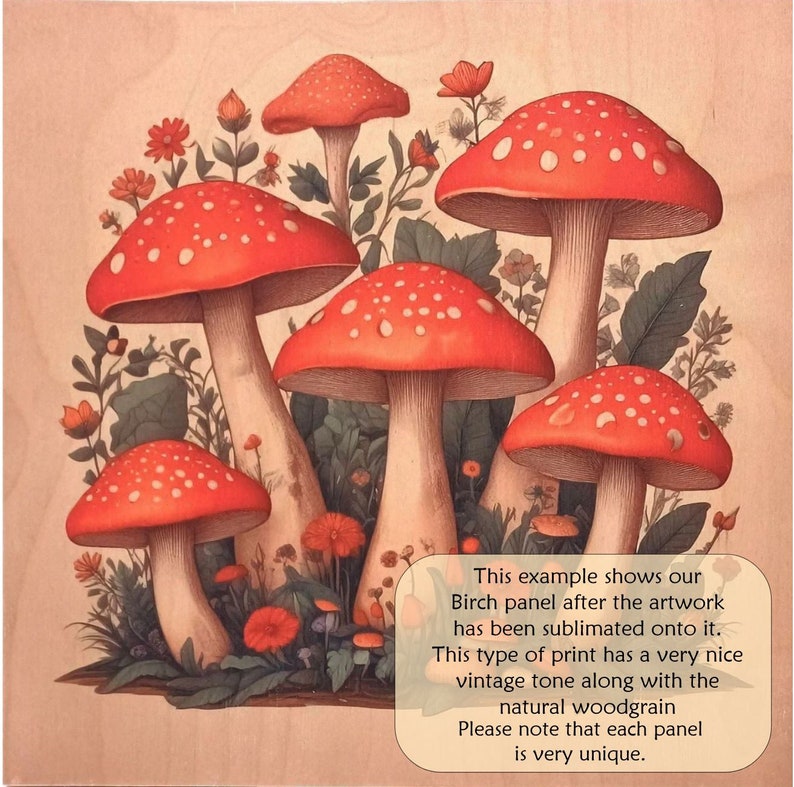 Vintage Mushroom Fine Art Canvas Print Enchanting Folk Art With Group of Colorful Toadstools - Etsy