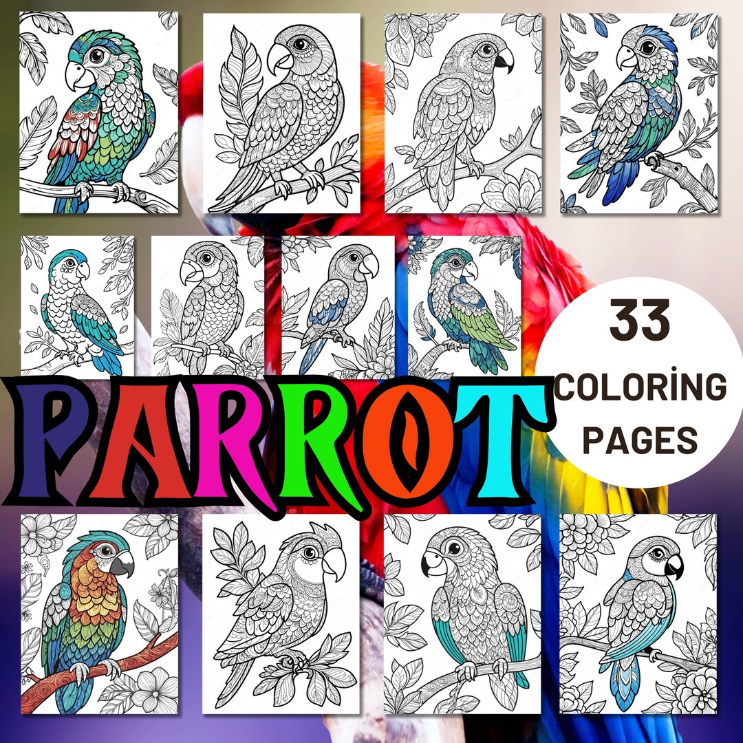 Parrot Coloring Pages | 33-page Tropical Birds Collection | US Letter ...