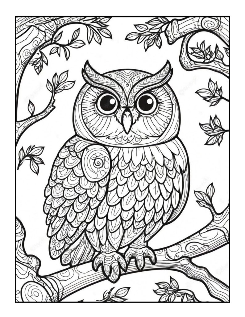 Owl Coloring Pages for Kids and Adults | Printable Owl Coloring Book ...