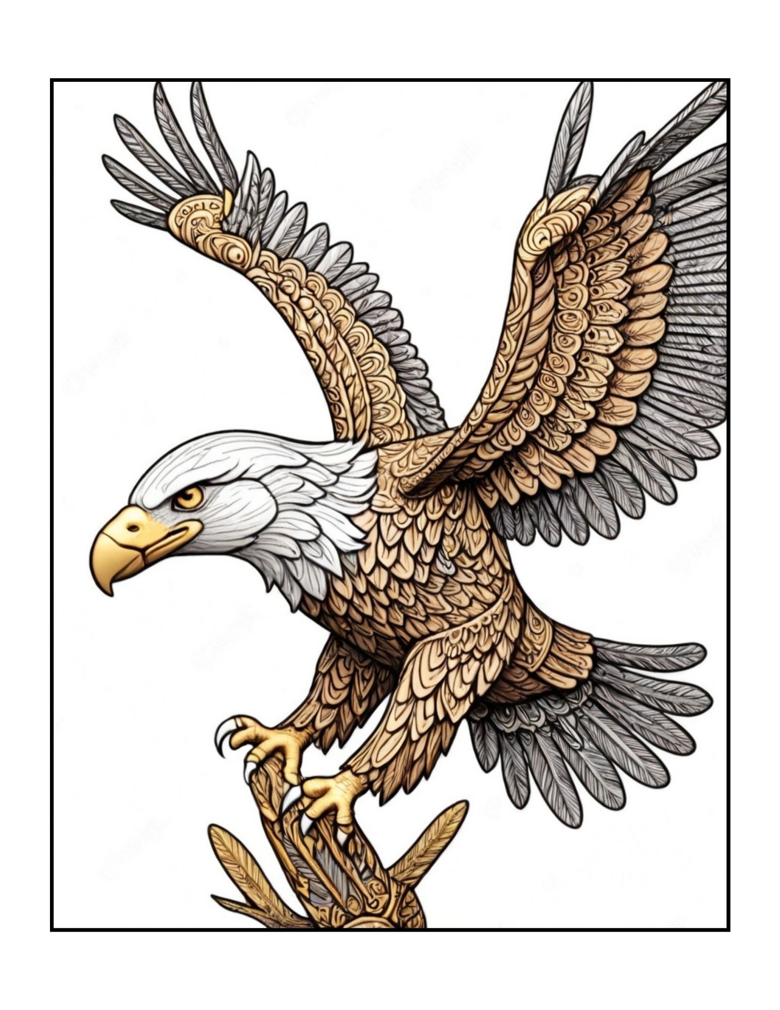 Soaring Eagle Adult Coloring Page Intricate Nature Illustration ...