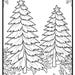 Christmas Pine Trees Coloring Book 24 Pages, Kids & Adults, PDF ZIP ...