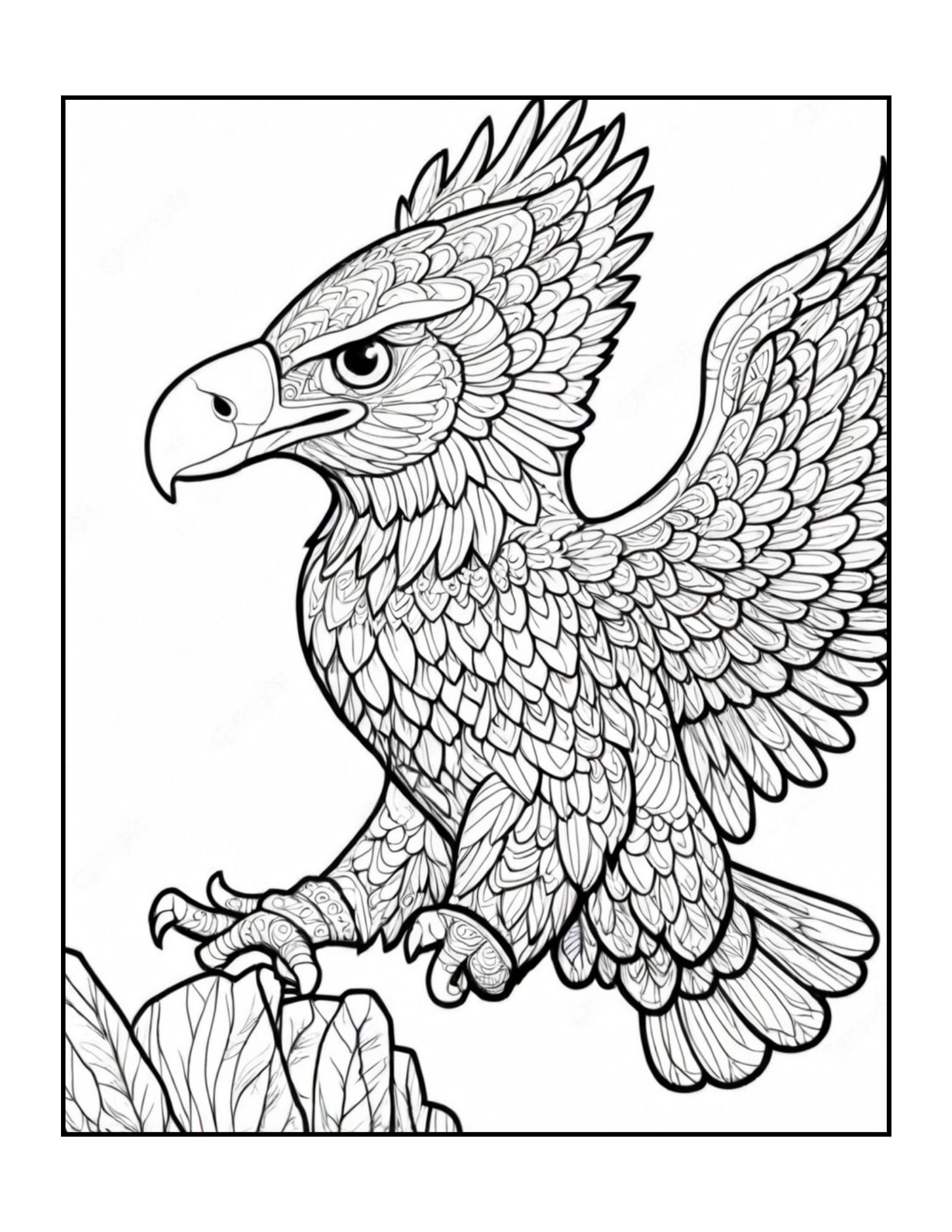 Soaring Eagle Adult Coloring Page | Intricate Nature Illustration ...