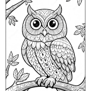 Owl Coloring Pages for Kids and Adults | Printable Owl Coloring Book ...