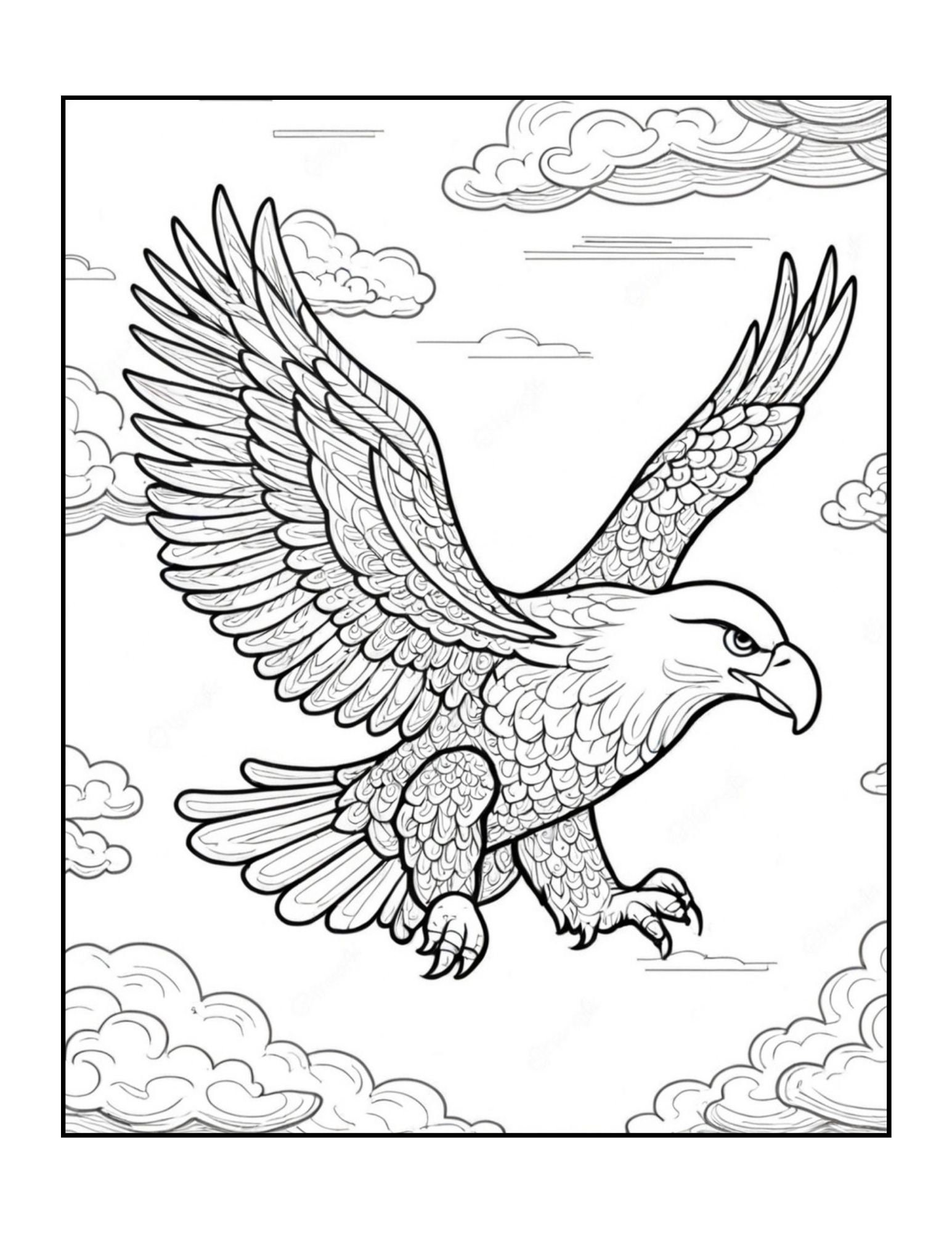 Soaring Eagle Adult Coloring Page | Intricate Nature Illustration ...