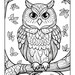 Owl Coloring Pages for Kids and Adults | Printable Owl Coloring Book ...