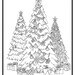 Christmas Pine Trees Coloring Book 24 Pages, Kids & Adults, PDF ZIP ...