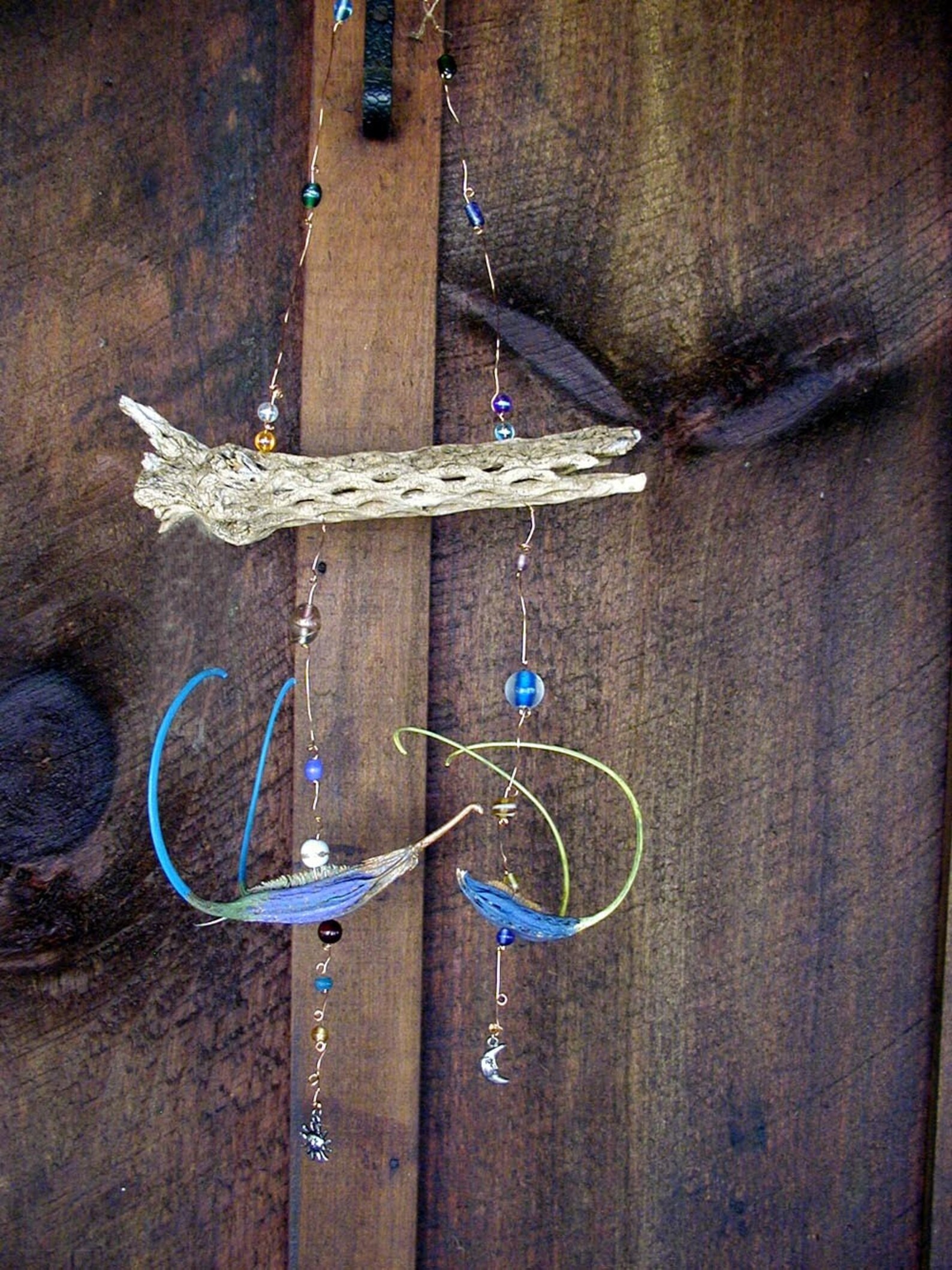 Color in Motion Devil Claw Mobile - Etsy