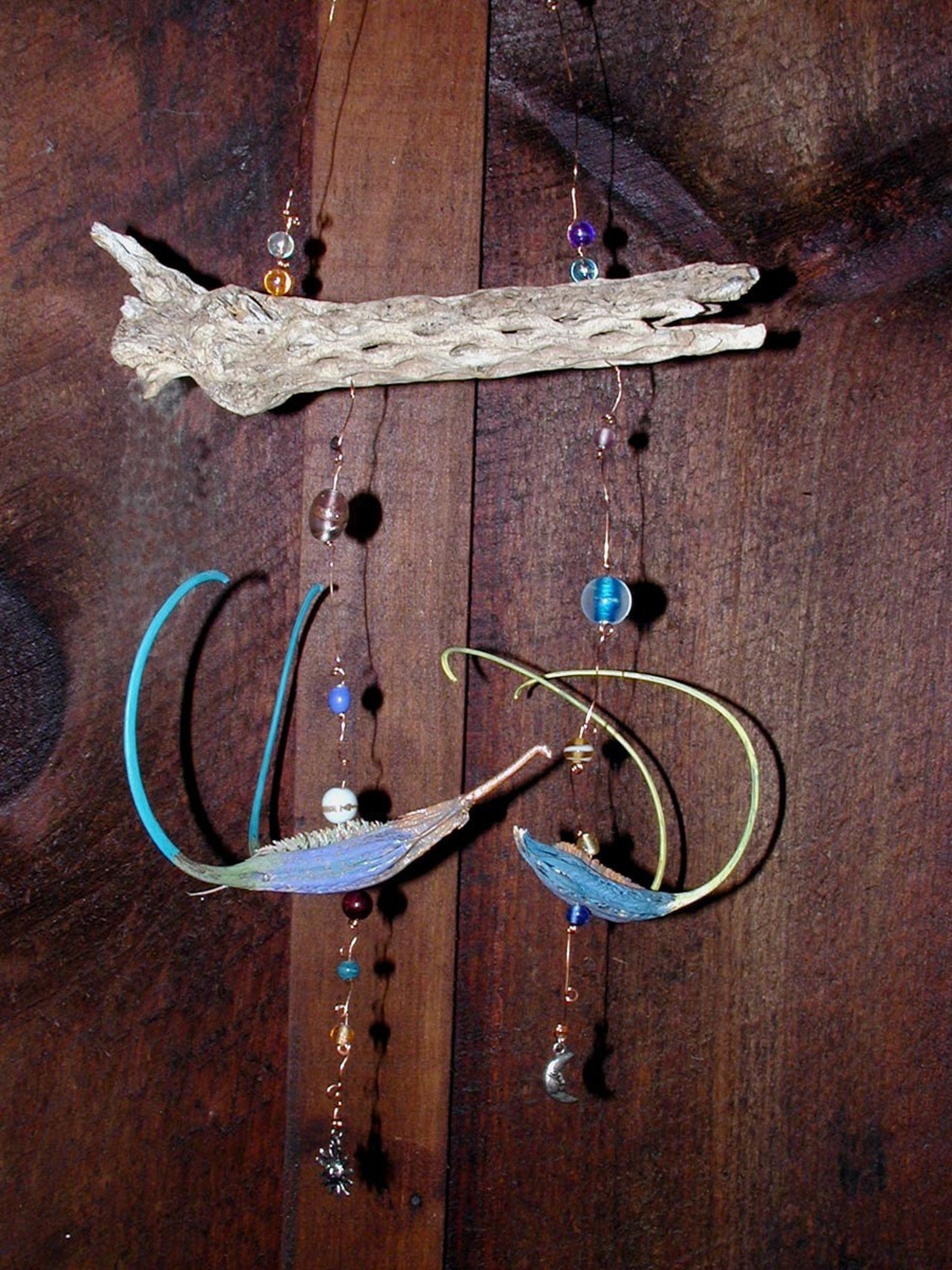 Color in Motion Devil Claw Mobile - Etsy