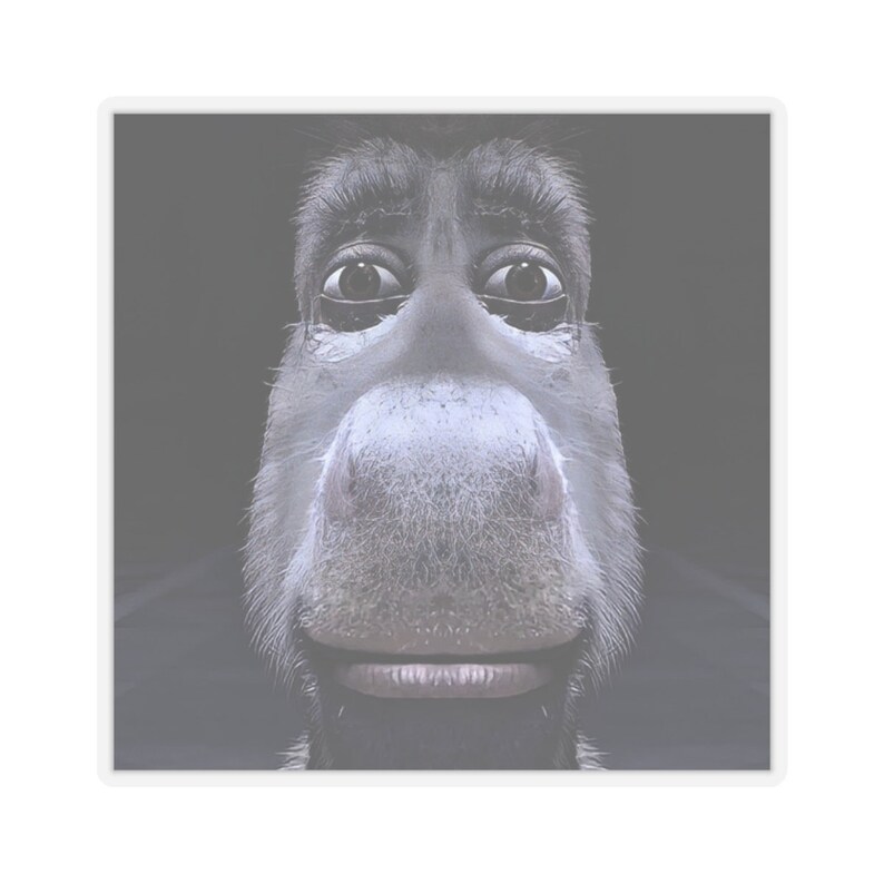 Donkey Meme Stickers, Shrek Donkey Sticker, Funny Meme Decal, Laptop ...