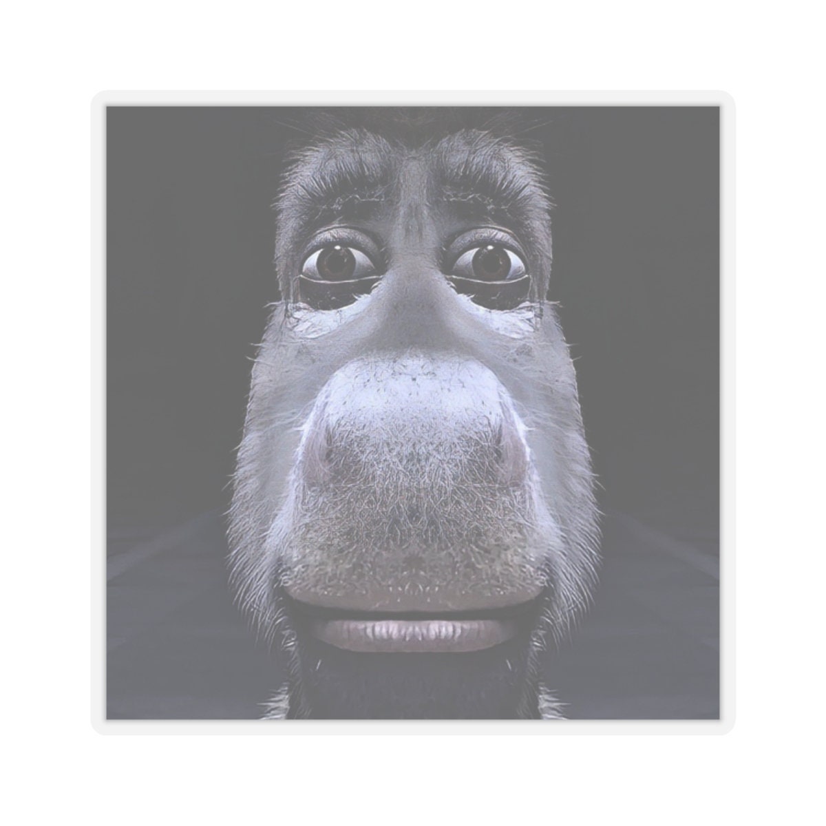 Donkey Meme Stickers, Shrek Donkey Sticker, Funny Meme Decal, Laptop ...