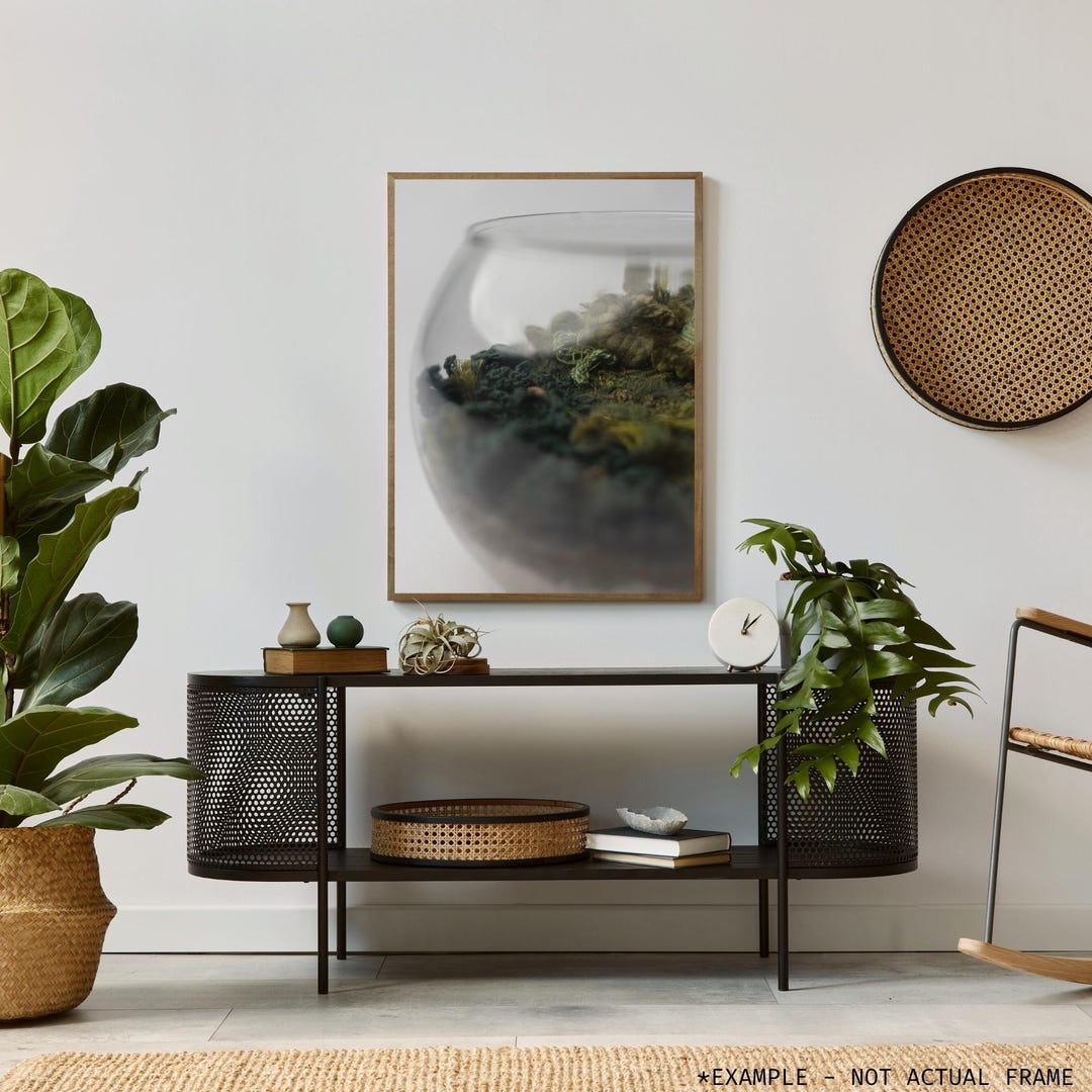 Fern Overgrowth (embroidered) - Framed Photo Paper Print (side View ...
