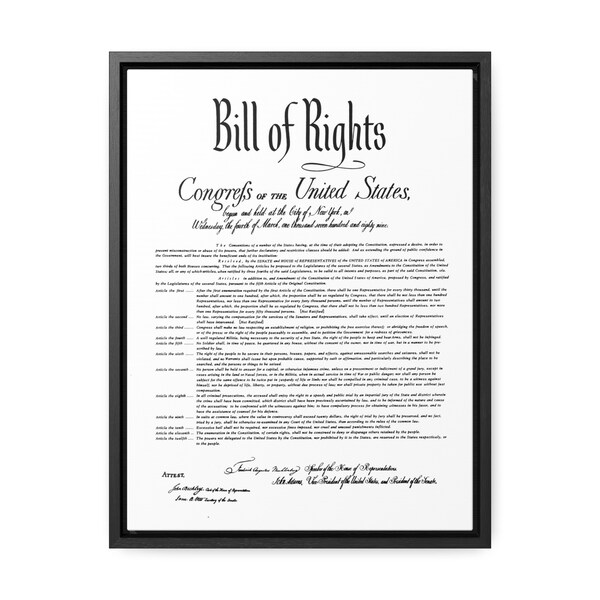 Bill of Rights Poster - Etsy