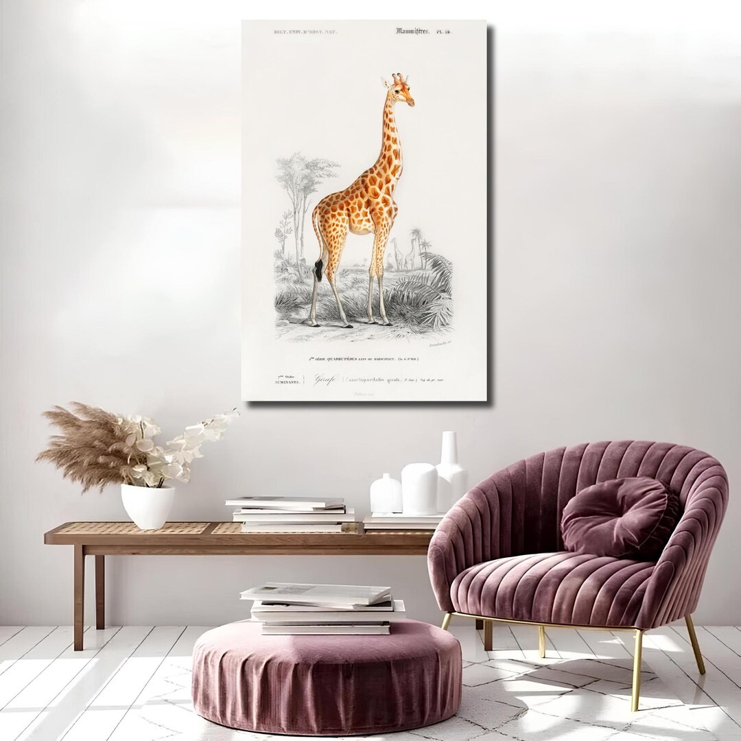 Giraffe Home Decor Print and Poster | Giraffa Camelopardalis Wall Art ...
