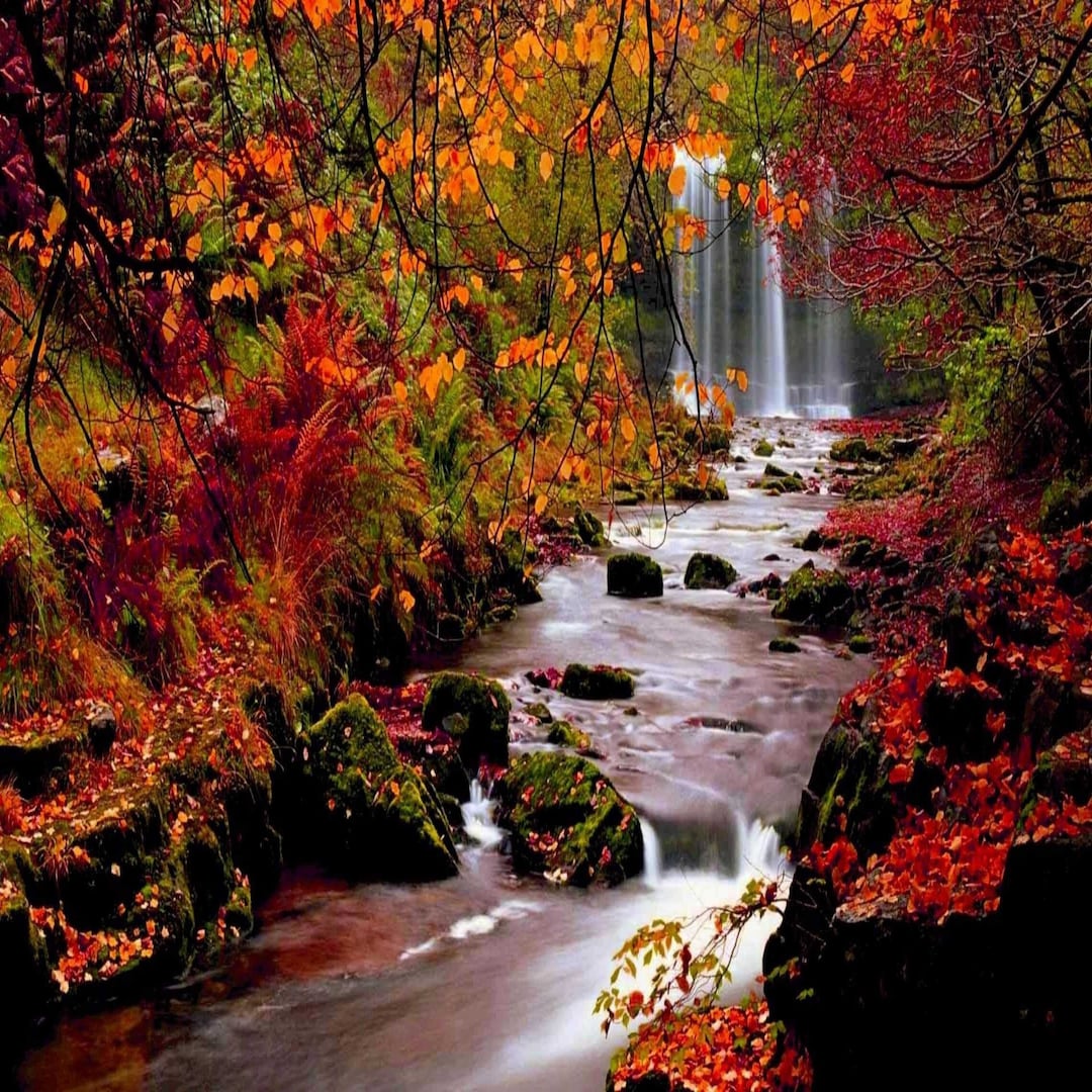 Running River W Red Autumn Forest Canvas Wall Art Design/poster or ...