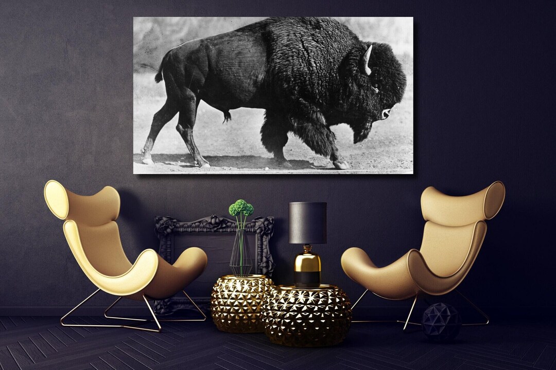 Black and White American Bison Canvas Print: Ready to Hang Wall Art - Etsy