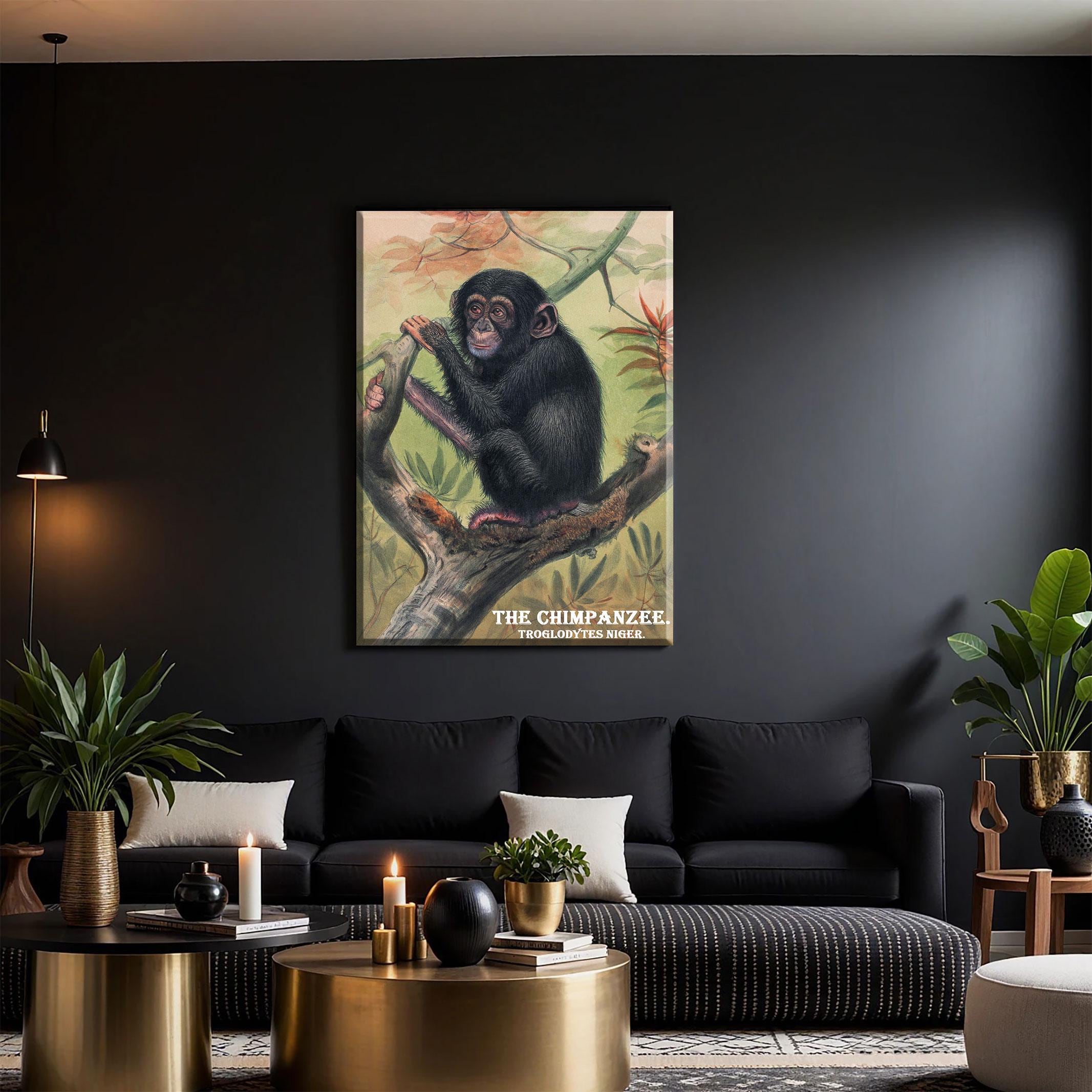 Vintage Chimpanzee Print: 1860s Zoological Art - Etsy