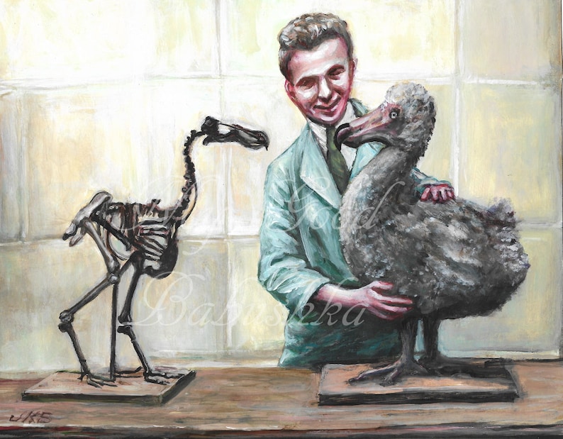 Dodo Bird Acrylic Painting: Natural History Museum Art (8x10) - Etsy