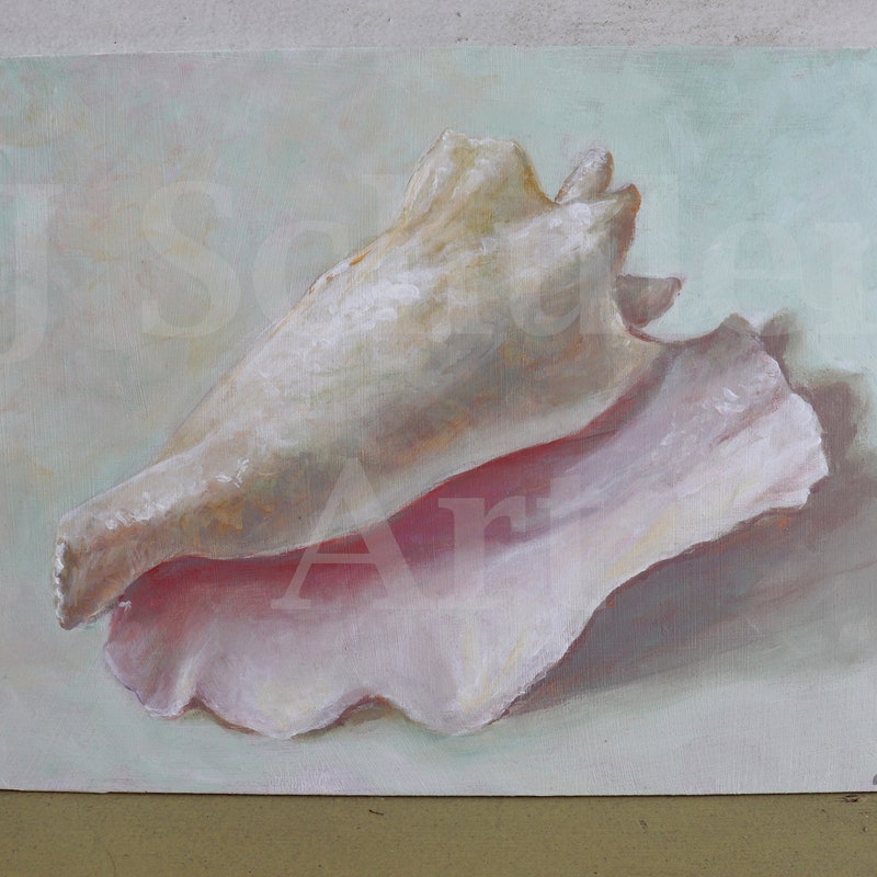 Conch Shell Art - Etsy