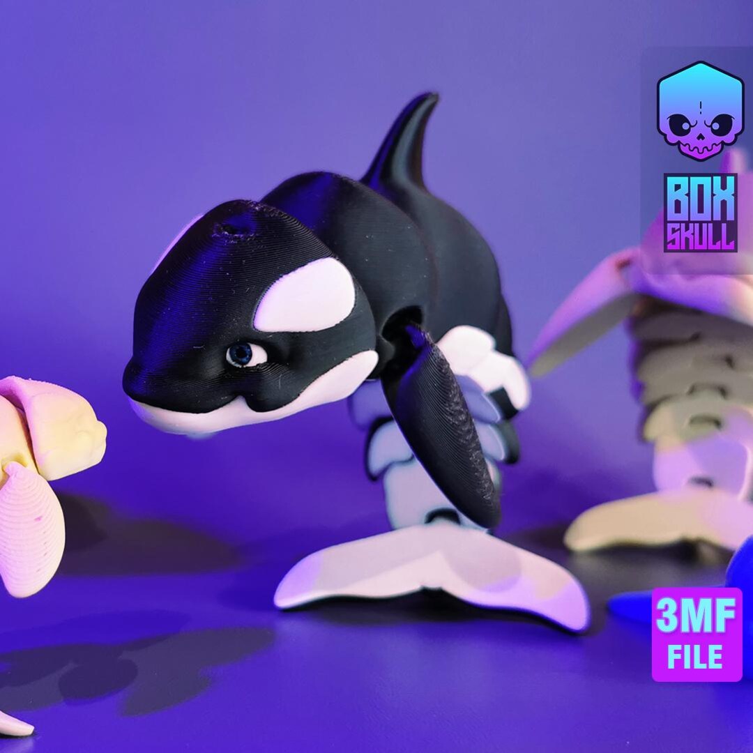 Killer Whale - Orca - BOXSKULL3D. STL File for 3D Printing, Articulated ...