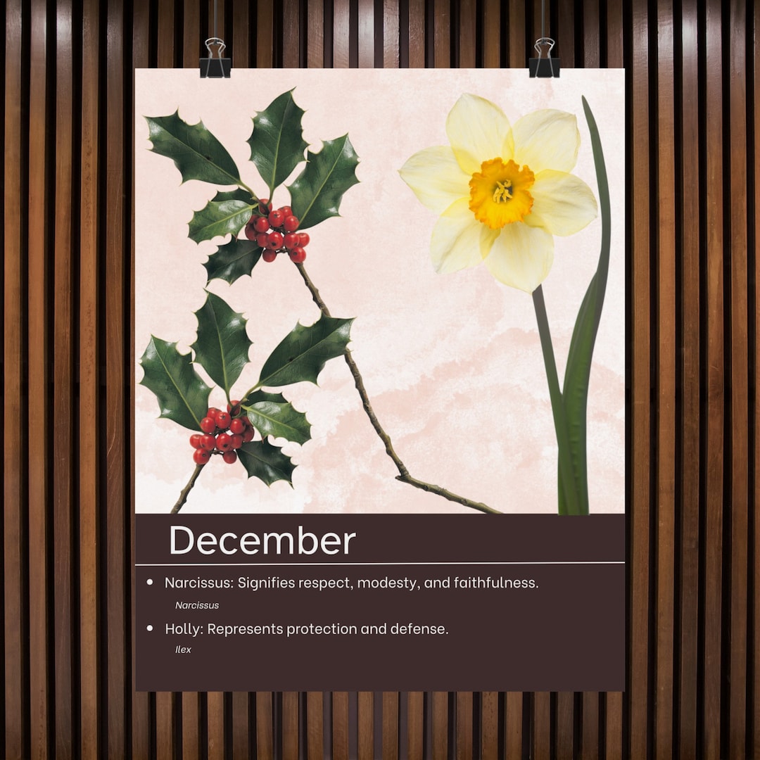 Birth Flower Poster december Narcissus & Holly 11x14 Floral Wall Art ...