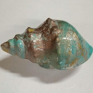 Handmade Hand Cast Conch Shell Drawer Pull Knob Custom Painted Pair - Etsy